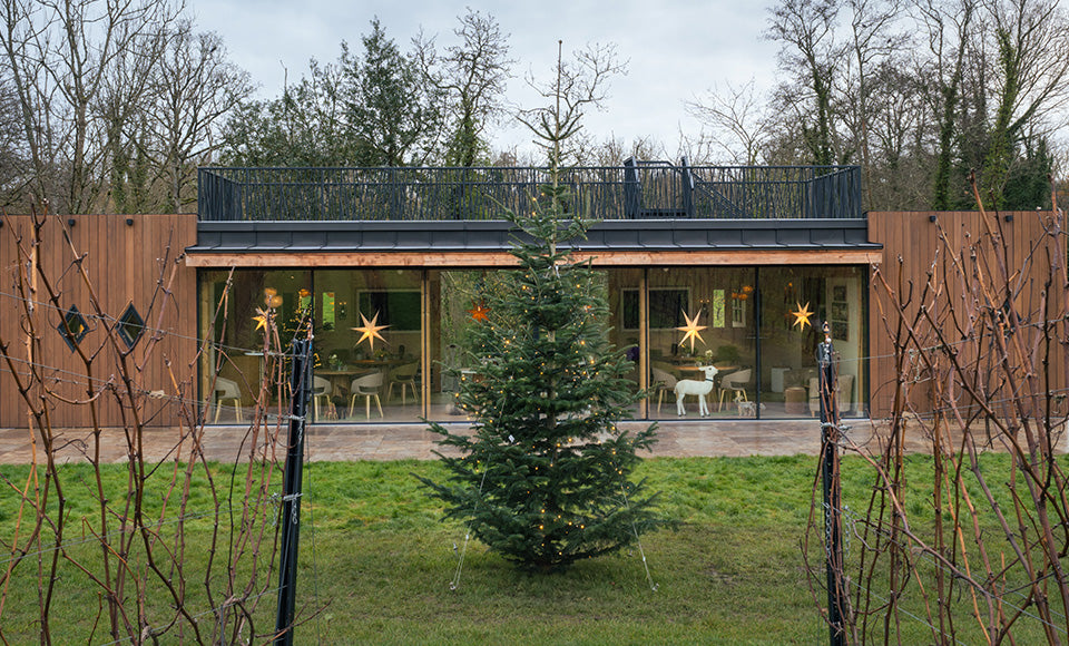 Christmas at Chilworth 2024 – Chilworth Manor Vineyard