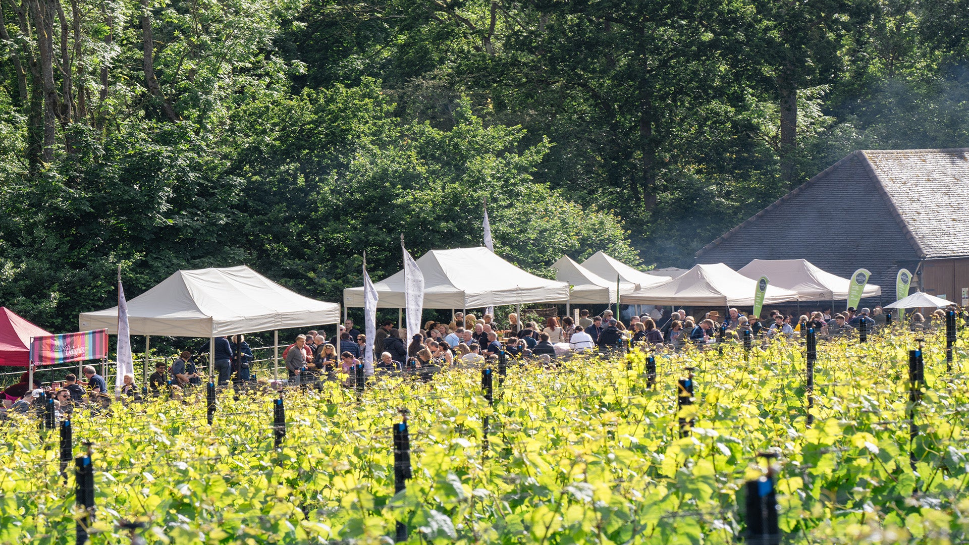 Chilworth Wine Festival – Chilworth Manor Vineyard