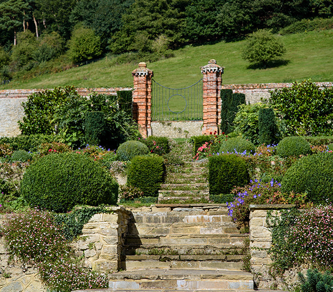 Our Story – Chilworth Manor Vineyard