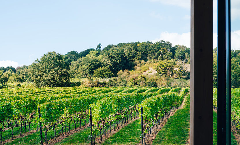 Experiences – Chilworth Manor Vineyard
