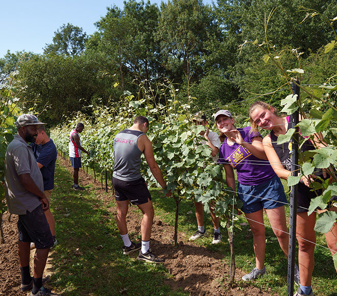 Team – Chilworth Manor Vineyard