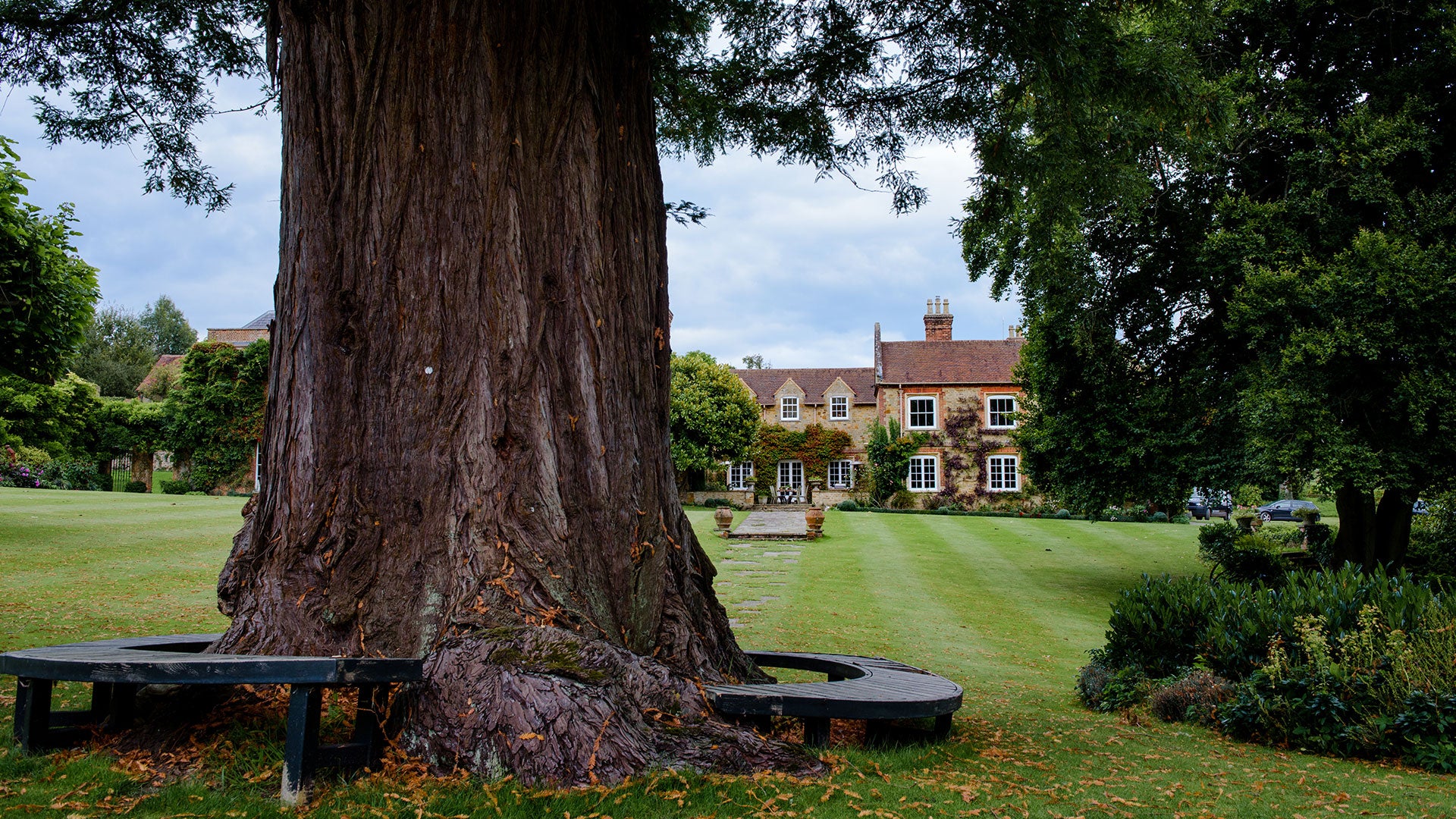 Our Story – Chilworth Manor Vineyard